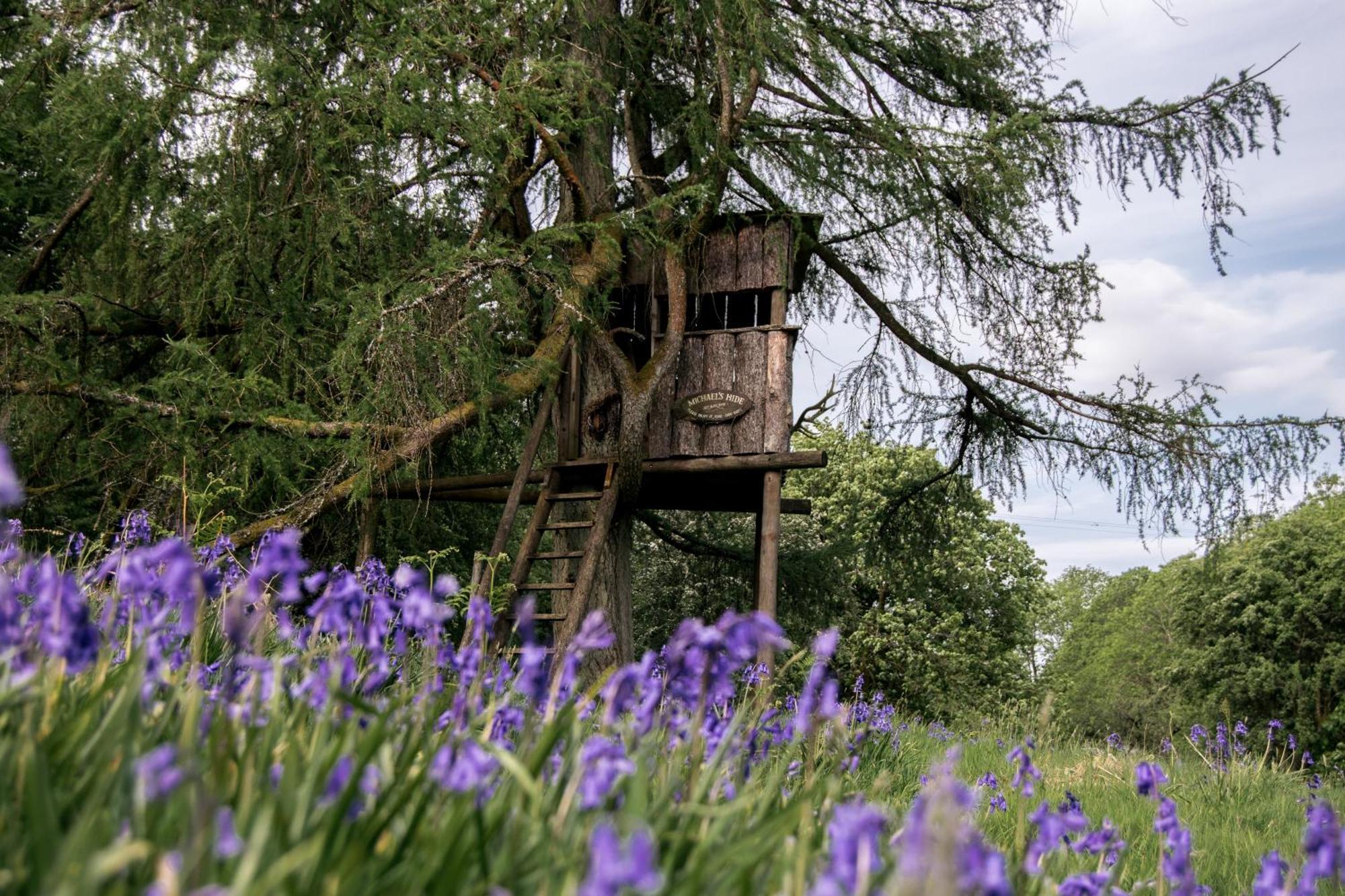 HOTEL WILD BOAR | ⋆⋆⋆⋆ | WINDERMERE, UNITED KINGDOM | SEASON DEALS FROM ...